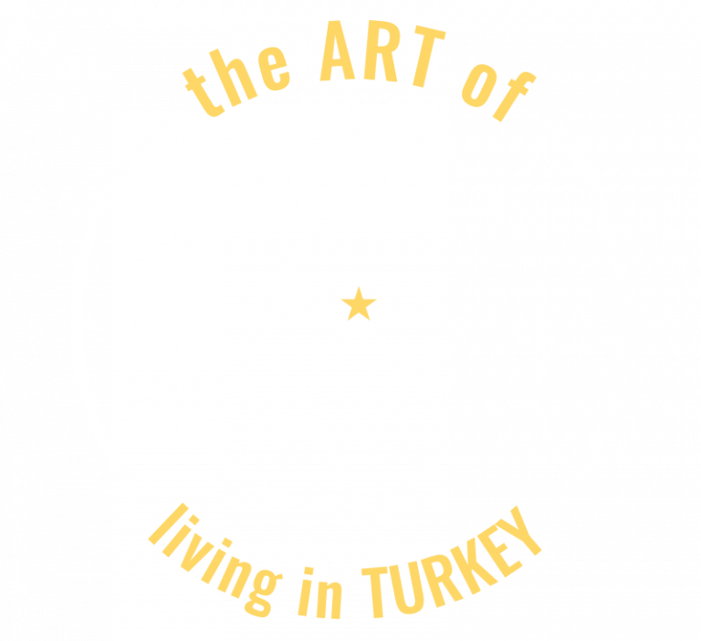 Shop Smarter: Ultimate Guide For Istanbul Supermarkets And Grocery Stores