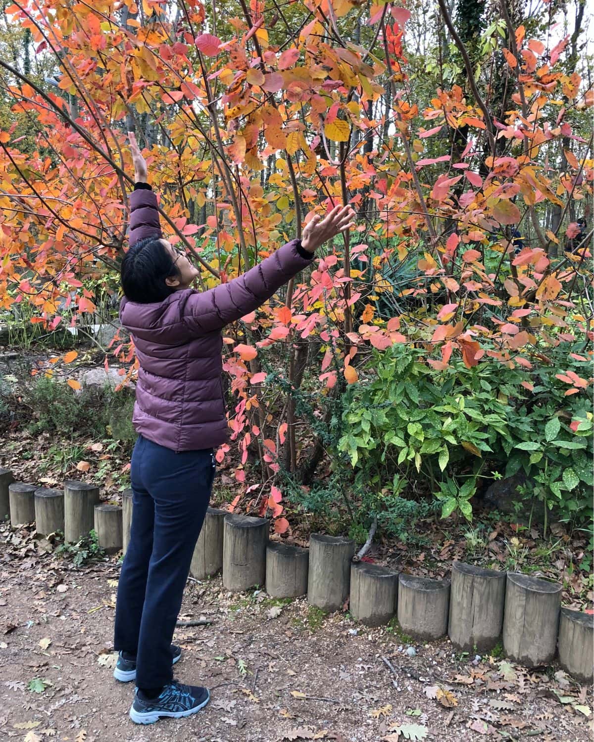 Unlock The Magic Of Istanbul In Autumn: Insider Tips For Your Fall ...