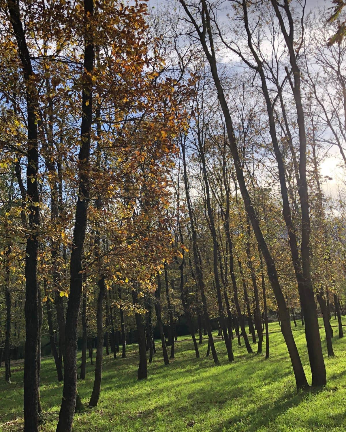 Unlock The Magic Of Istanbul In Autumn: Insider Tips For Your Fall ...